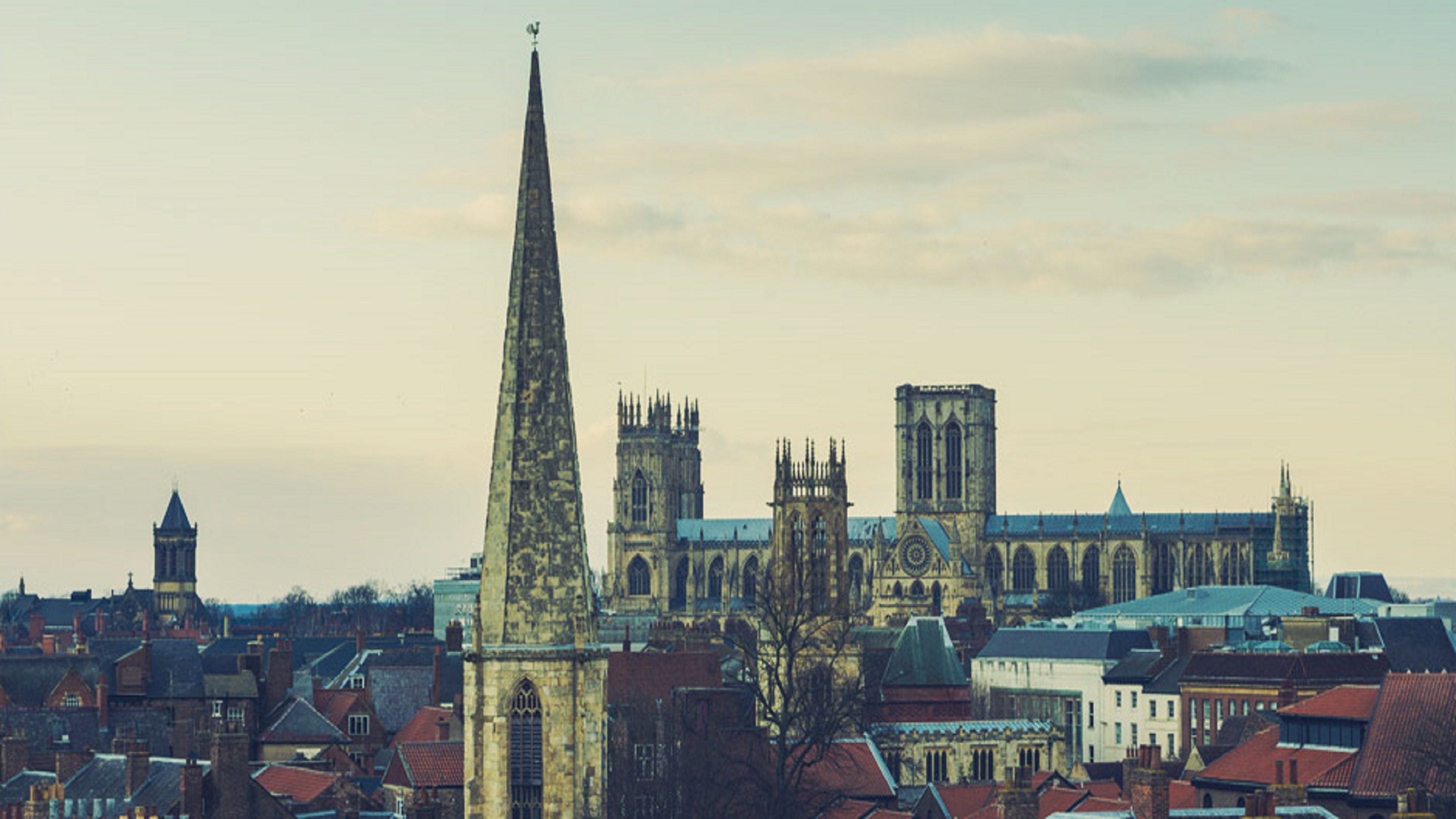 york_940X450 | Terravision Polacco